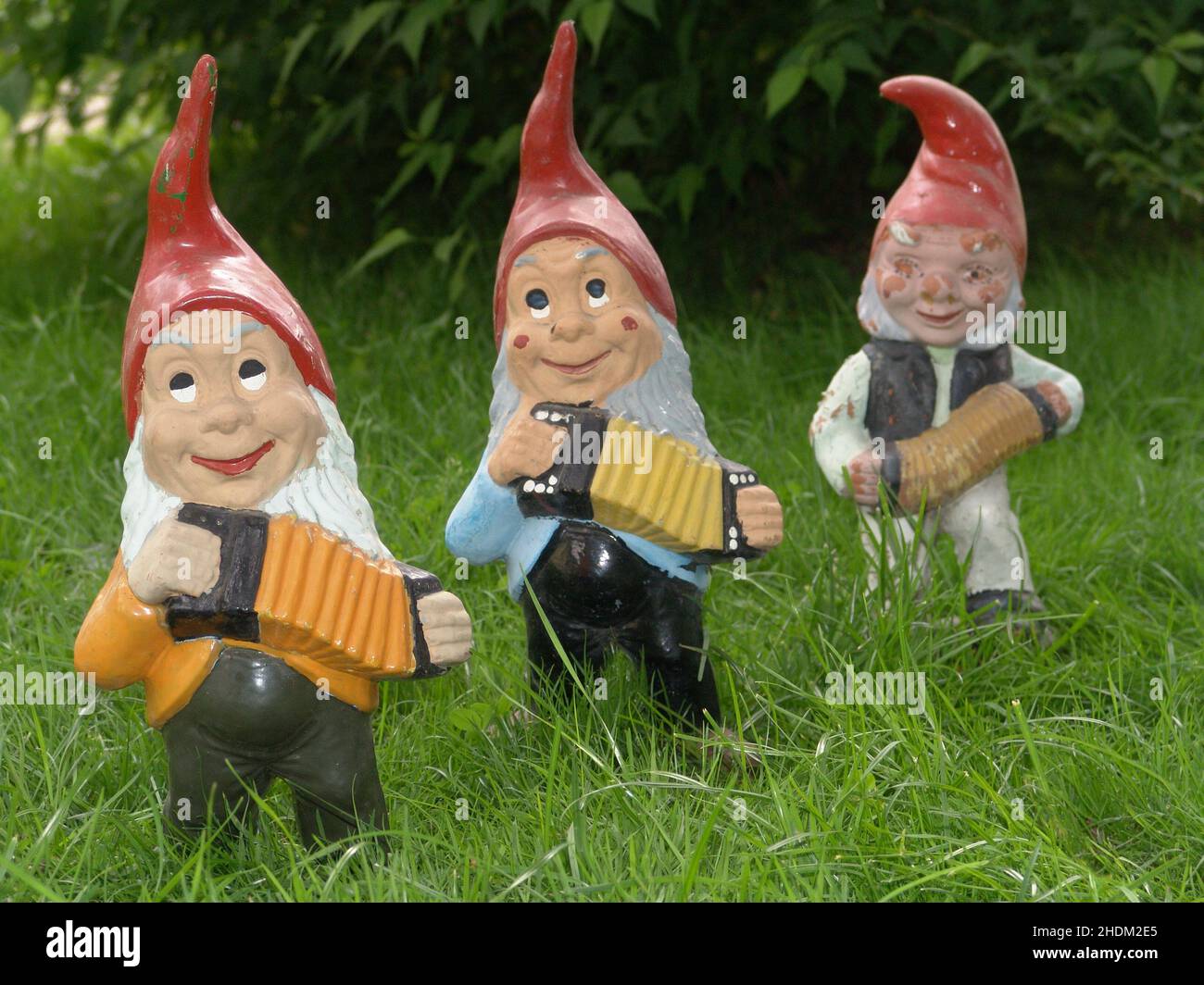 garden gnome, musician, garden gnomes Stock Photo - Alamy