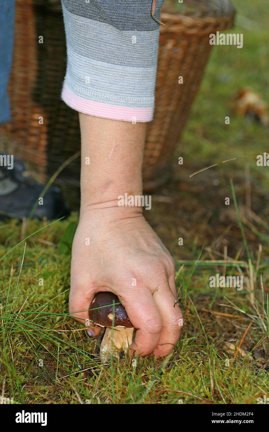 Collecting objects hi-res stock photography and images - Alamy