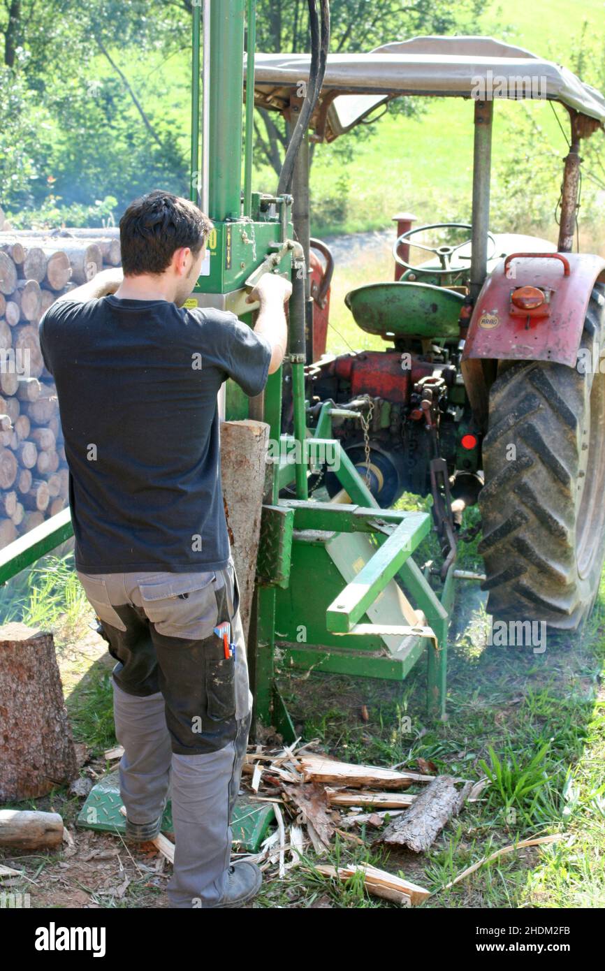 man, wood, wood splitter, guy, men, woodland, woodlands, woods, wood ...