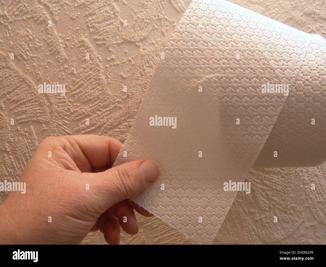 toilet paper, toilet papers Stock Photo - Alamy