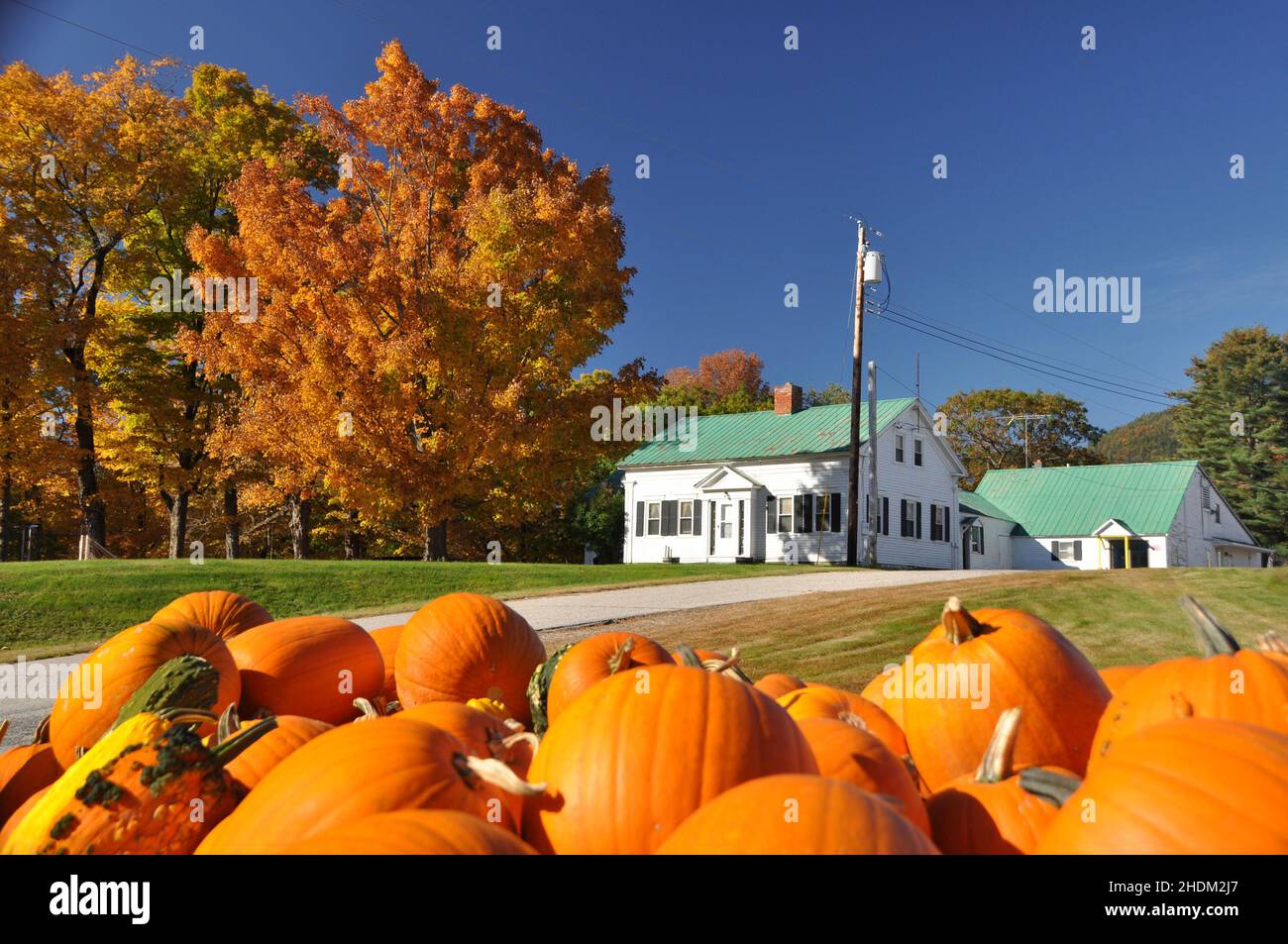 Maine farmhouse hi-res stock photography and images - Alamy