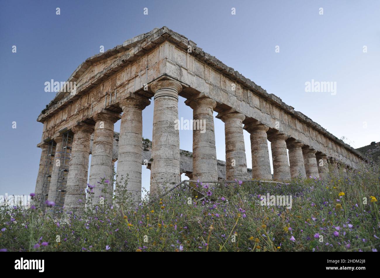 temple, segesta, temples Stock Photo - Alamy