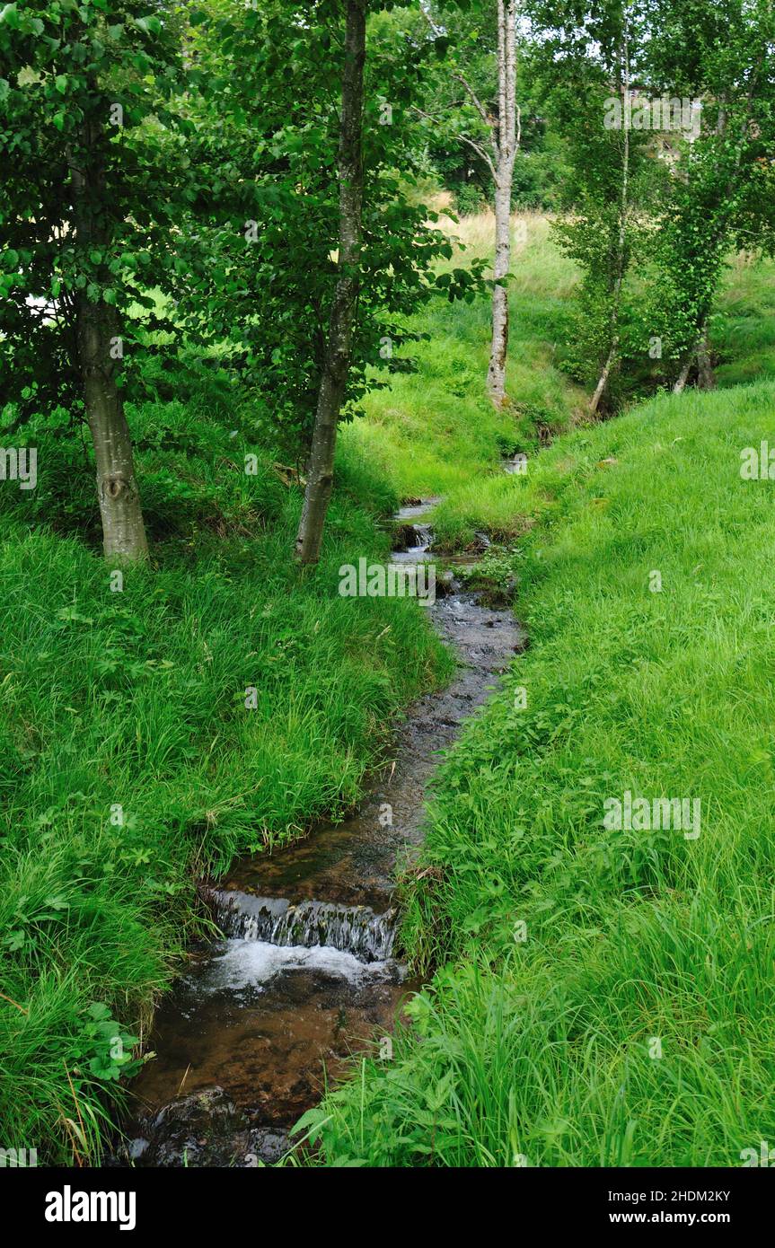 Black ditch stream hi-res stock photography and images - Alamy