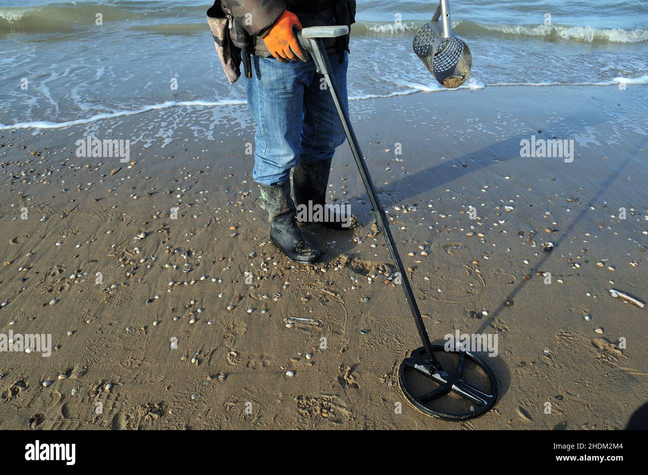 metal detector, treasure, metal detectors, searching treasure ...