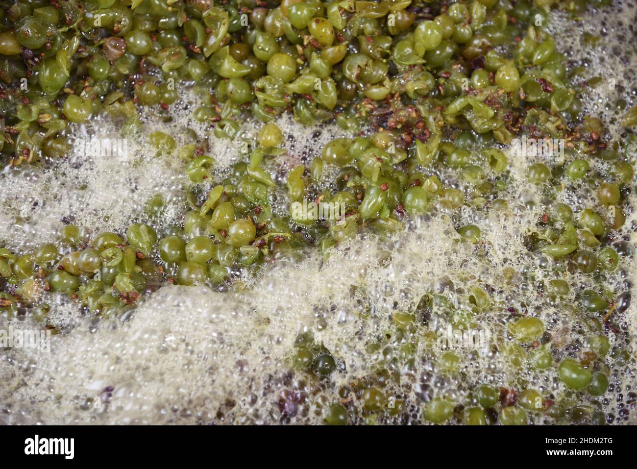 Grape musts hi-res stock photography and images - Alamy