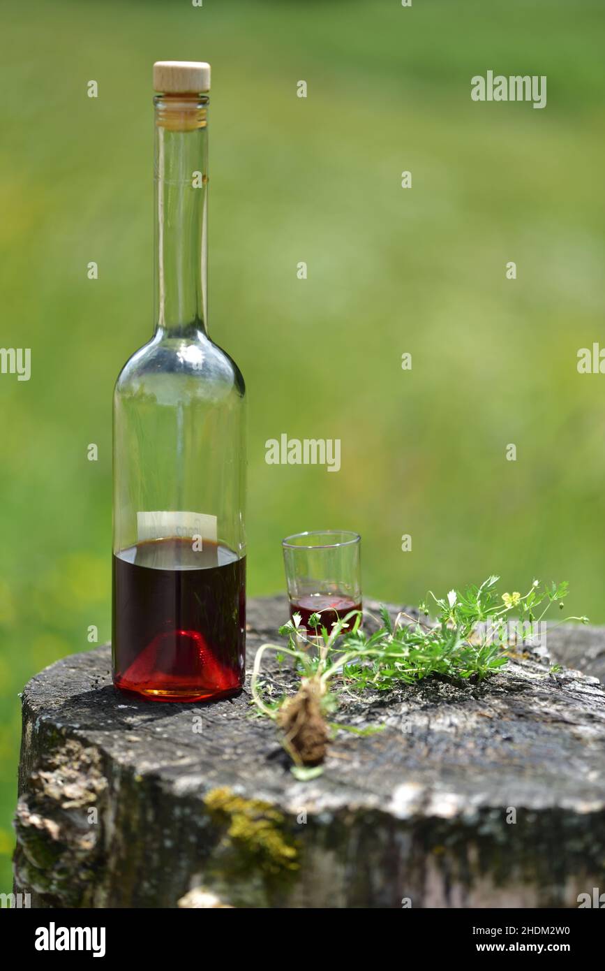 herbal liqueur, herbal liquor , herbal liqueurs, herbal liquor s Stock ... herbal liqueur, herbal liquor , herbal liqueurs, herbal liquor s Stock ...