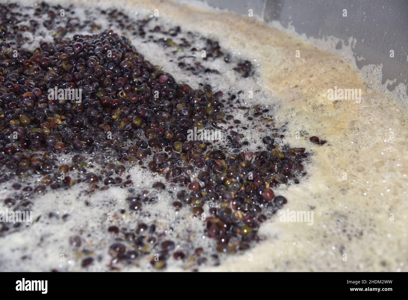 Grape musts hi-res stock photography and images - Alamy