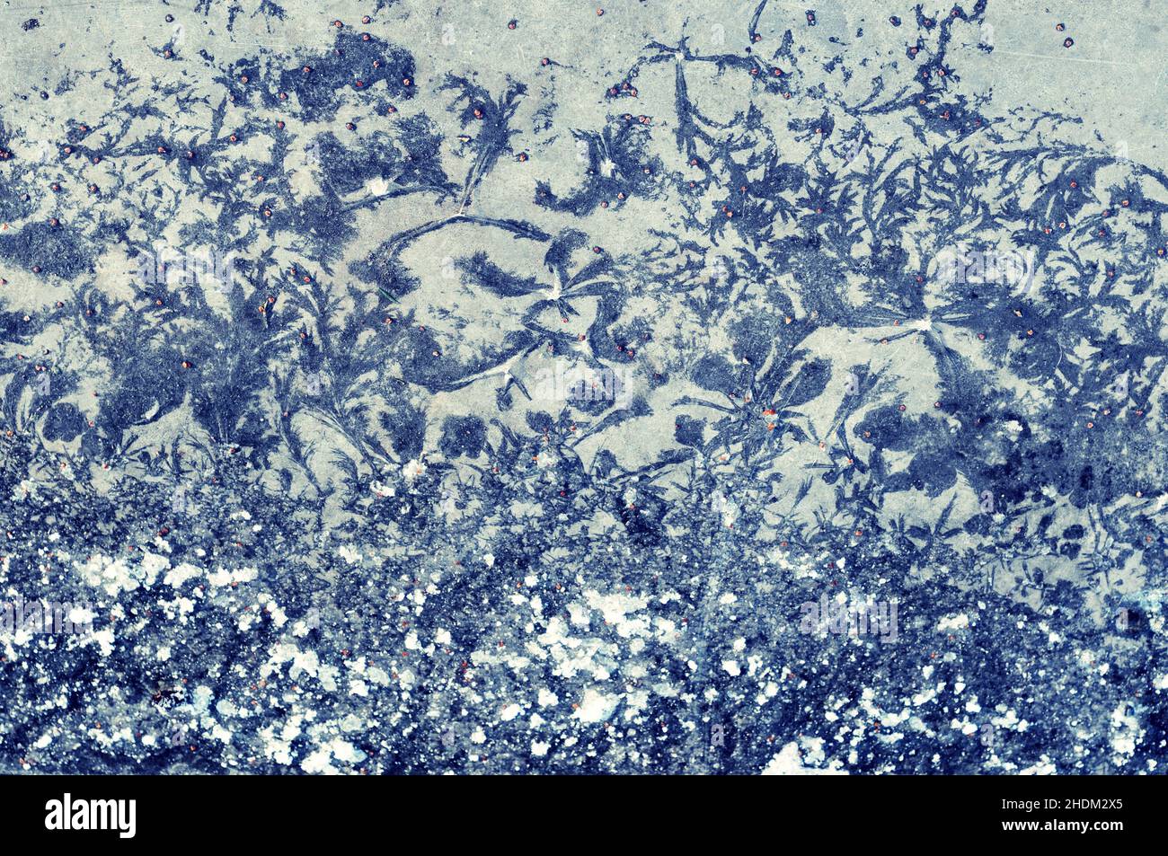 frost pattern, frost patterns, patterns Stock Photo - Alamy