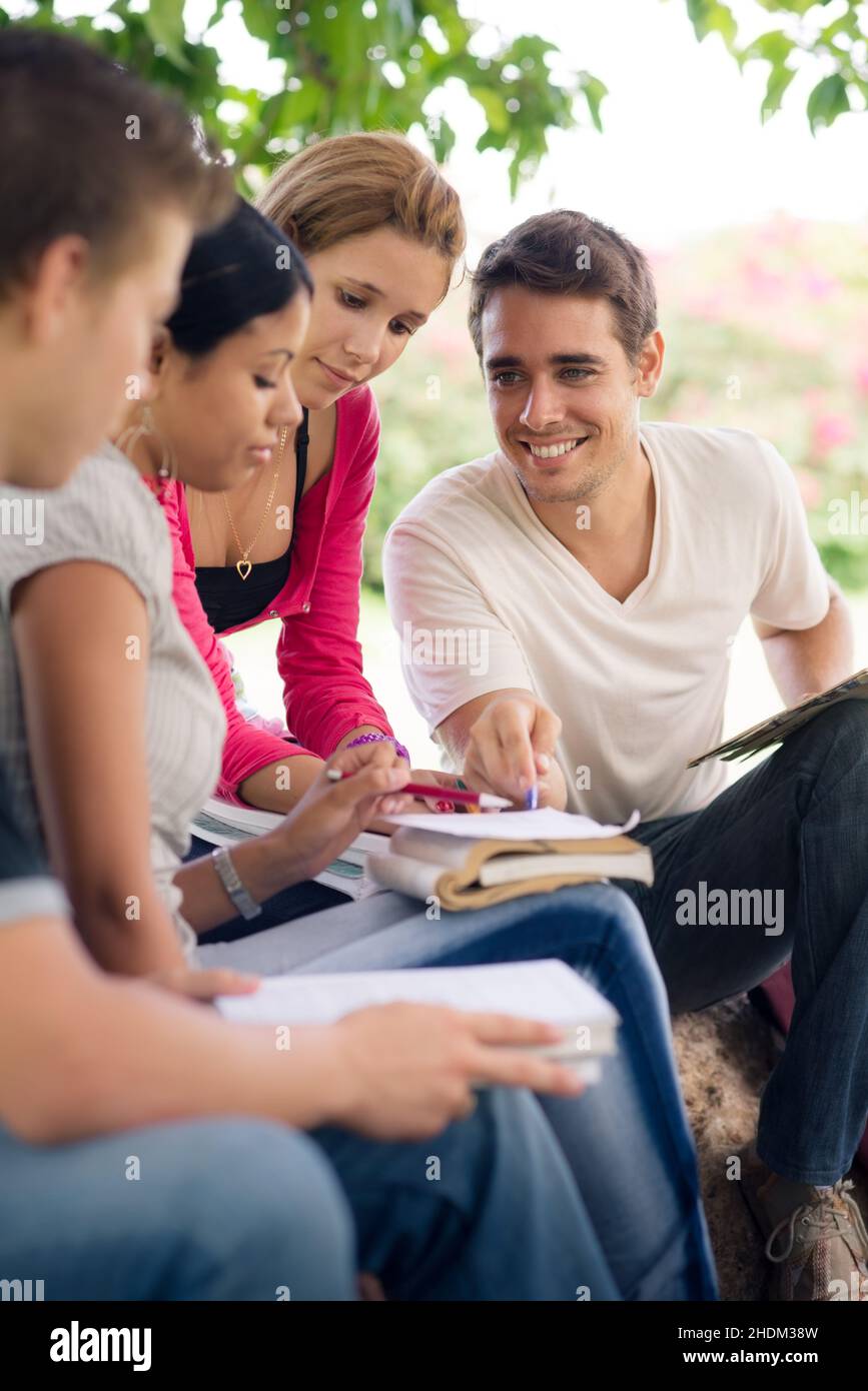 learning, students, learning group, fellow student, student, learning ...