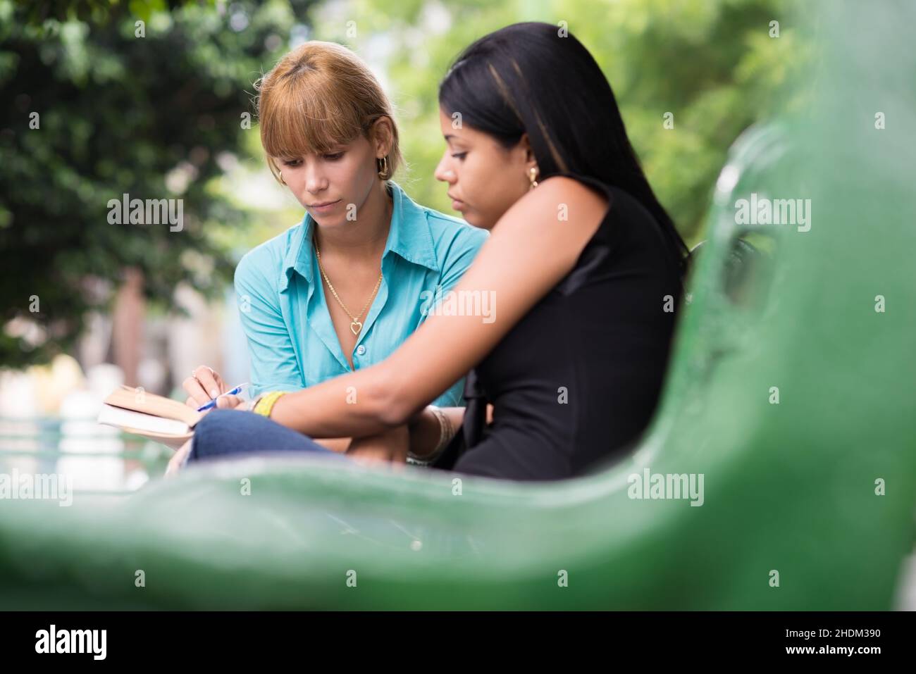 young woman, learning, explaining, students, learning group, girl ...