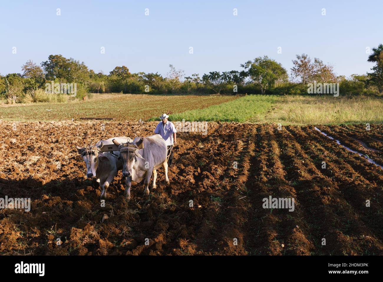 agriculture, farming, plowing, agricultures Stock Photo - Alamy