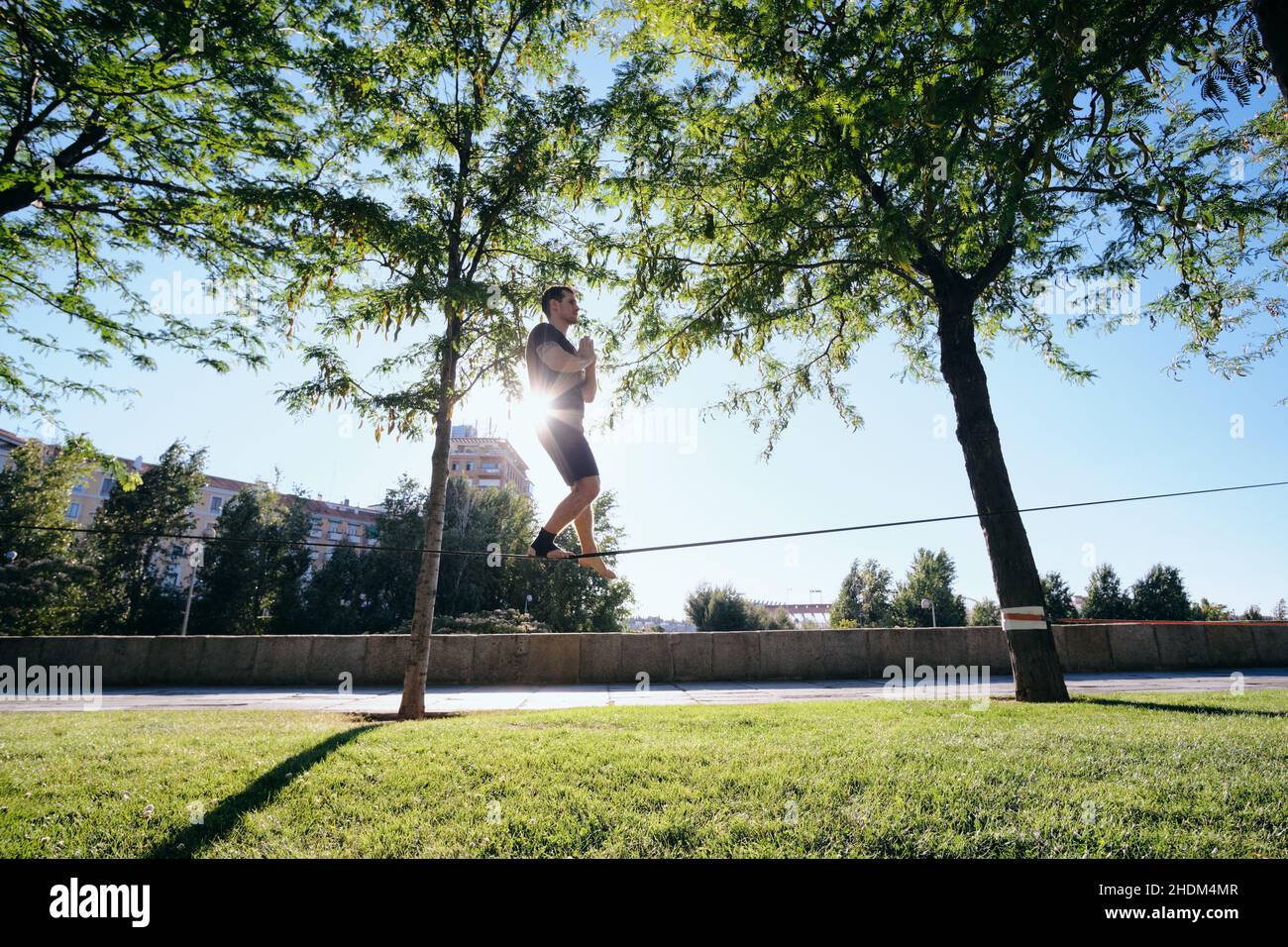 balance, sportsman, slackline, balances, athlete, athletes, sportsmen ...