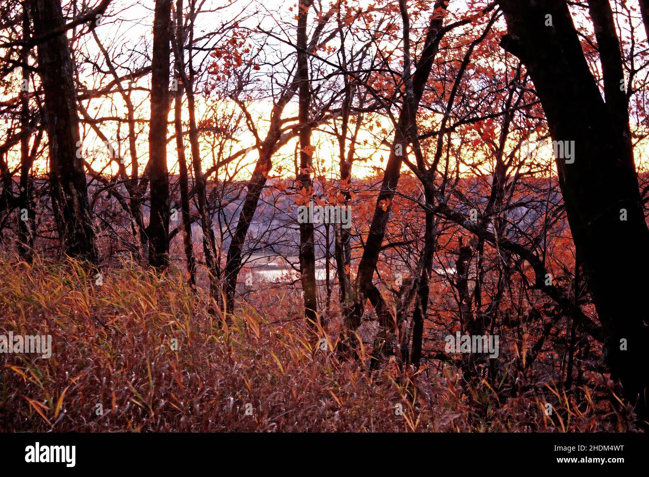 Fall colors in the early morning along the St. Croix River - Co. Rd S ...