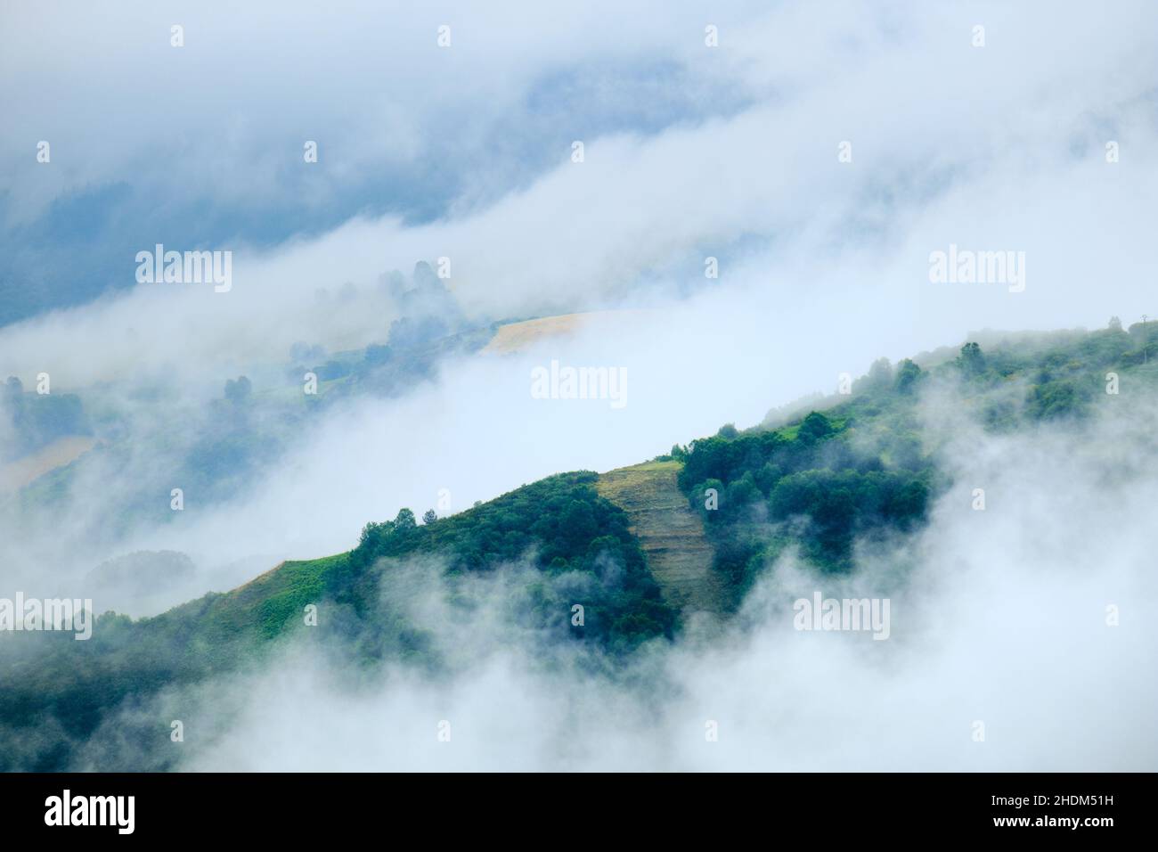 fog, hill, fogs, hills Stock Photo - Alamy