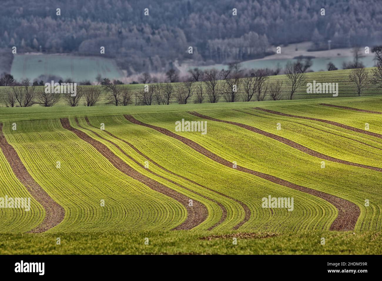 field, arable, agriculture, fields, arables, agricultures Stock Photo ...