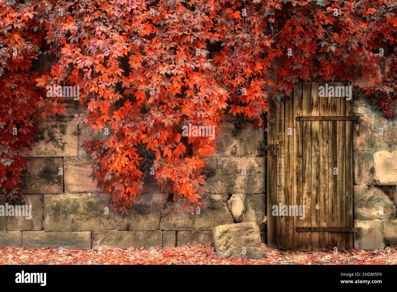 autumn leaves, masonry, door, leaf, masonries, doors Stock Photo - Alamy