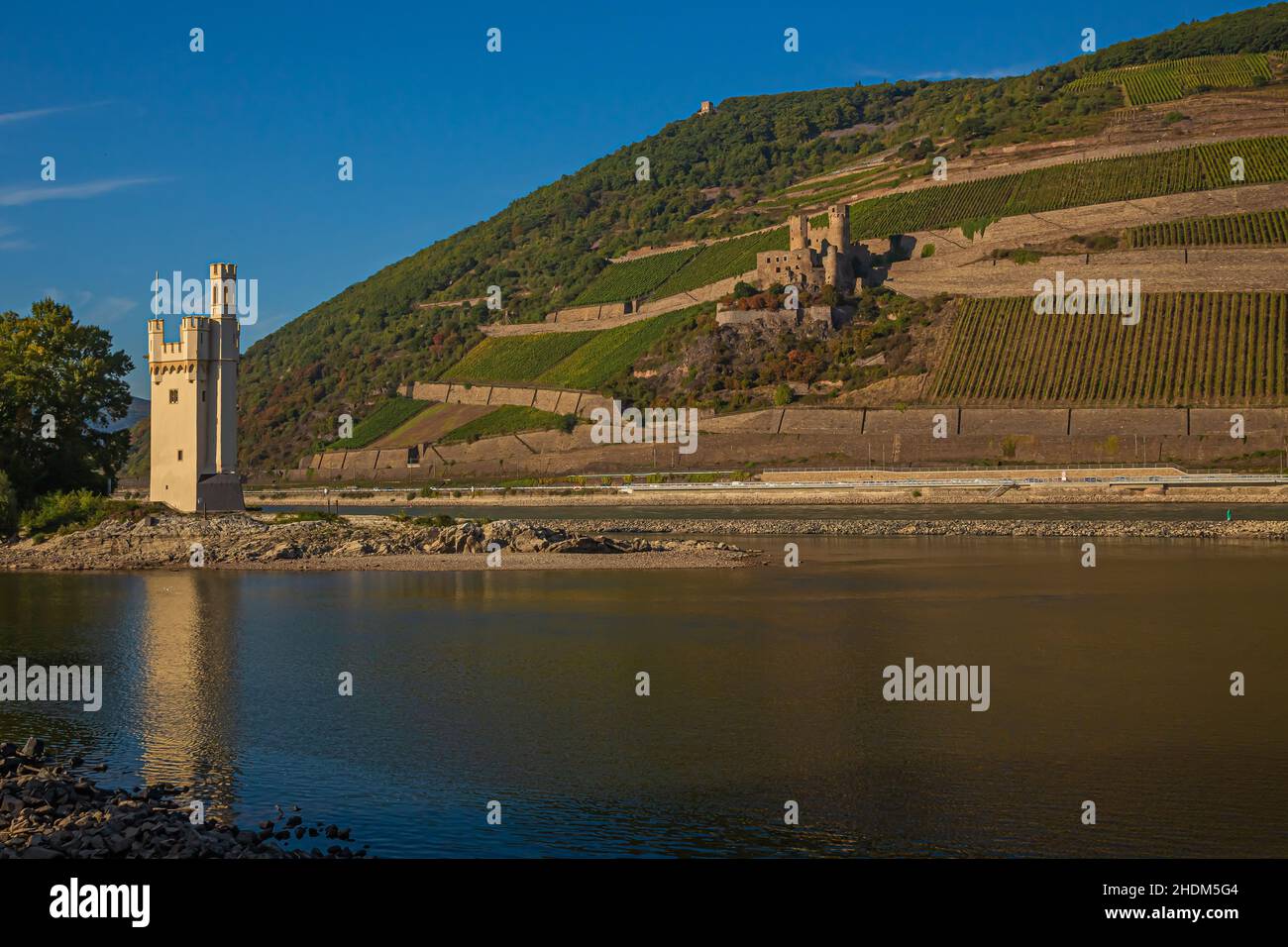 rhine river, mouse tower, rhine, rhine rivers, mouse towers Stock Photo ...