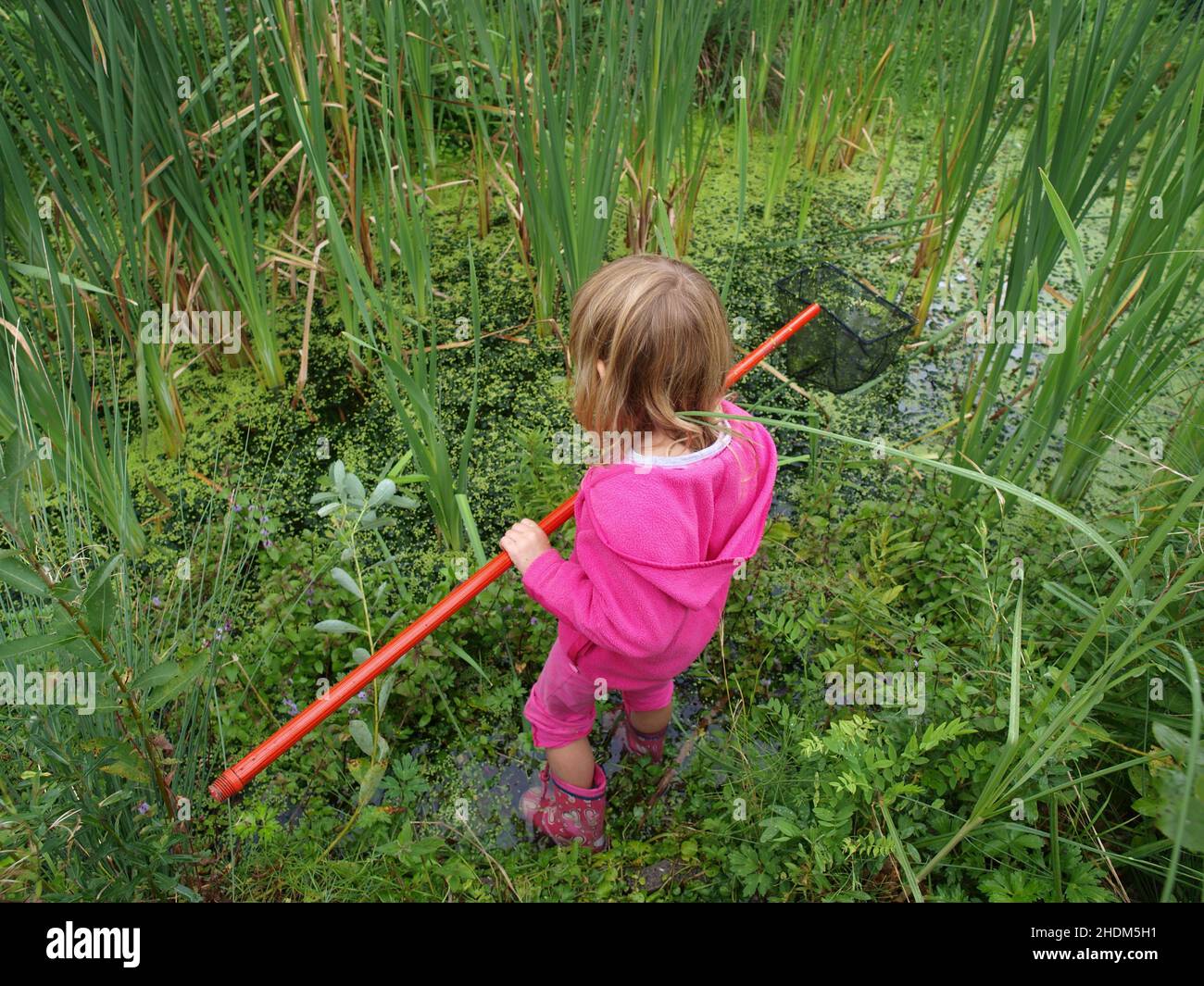 Girl with net by pond hi-res stock photography and images - Alamy