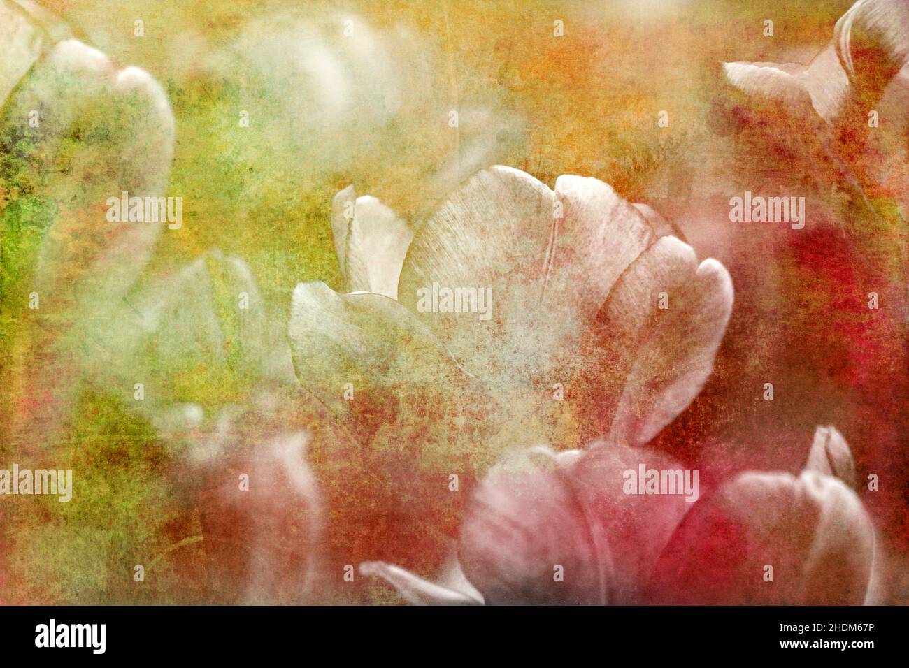 backgrounds, flower pattern, paint, background, flower patterns ...