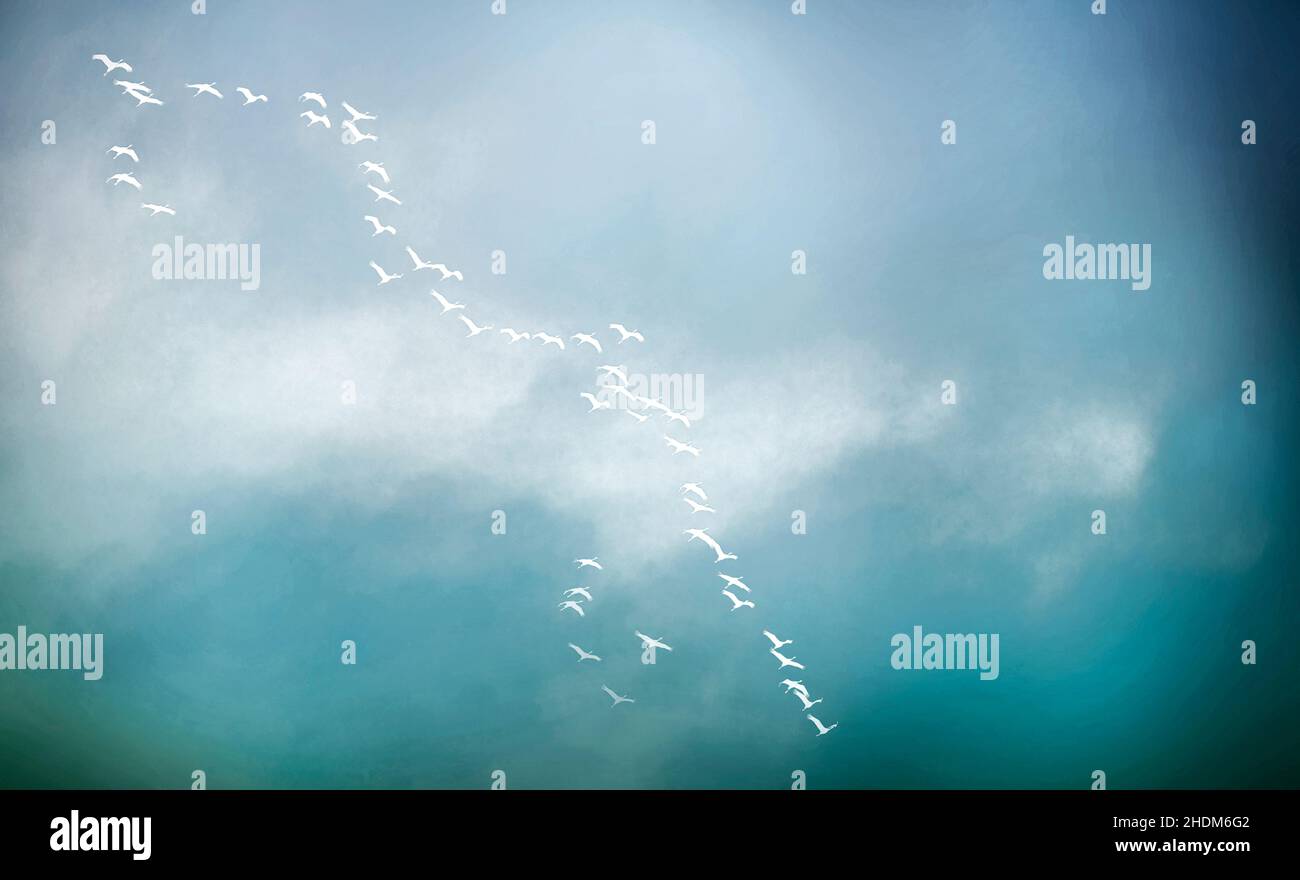 formation flight, migratory, swarm of birds, formation flights ...