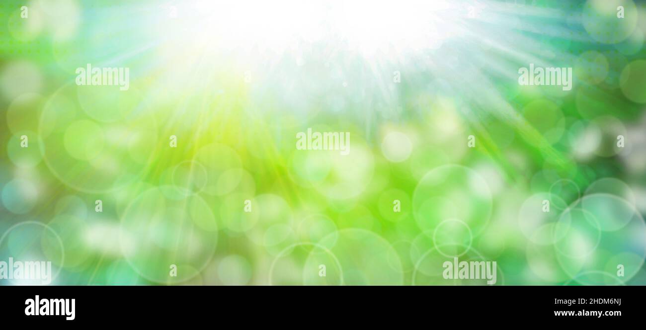 sunlight, spring, light green, sun ray, sun rays, sunbeam, sunbeams ...