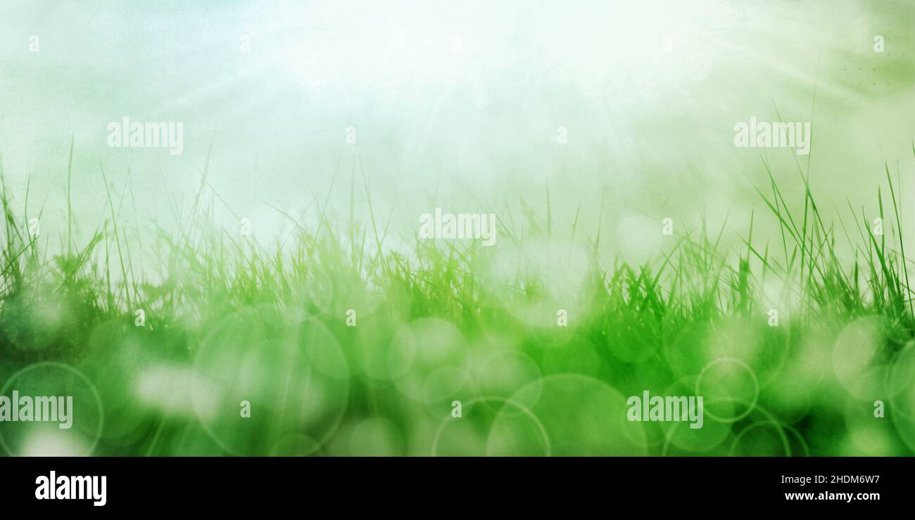 meadow, sunbeams, spring, meadows, sun beams, sun ray, sun rays ...