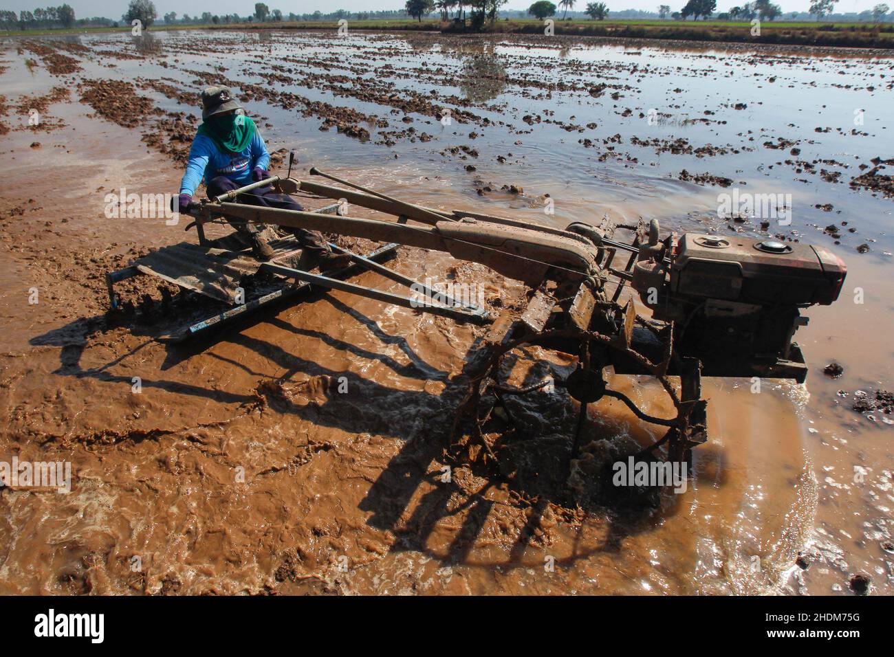 A farmer clear his rice field using motorised plough in Nakhon Sawan ...