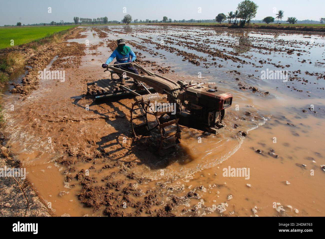 Nakhon Sawan, Thailand. 06th Jan, 2022. A farmer clear his rice field ...