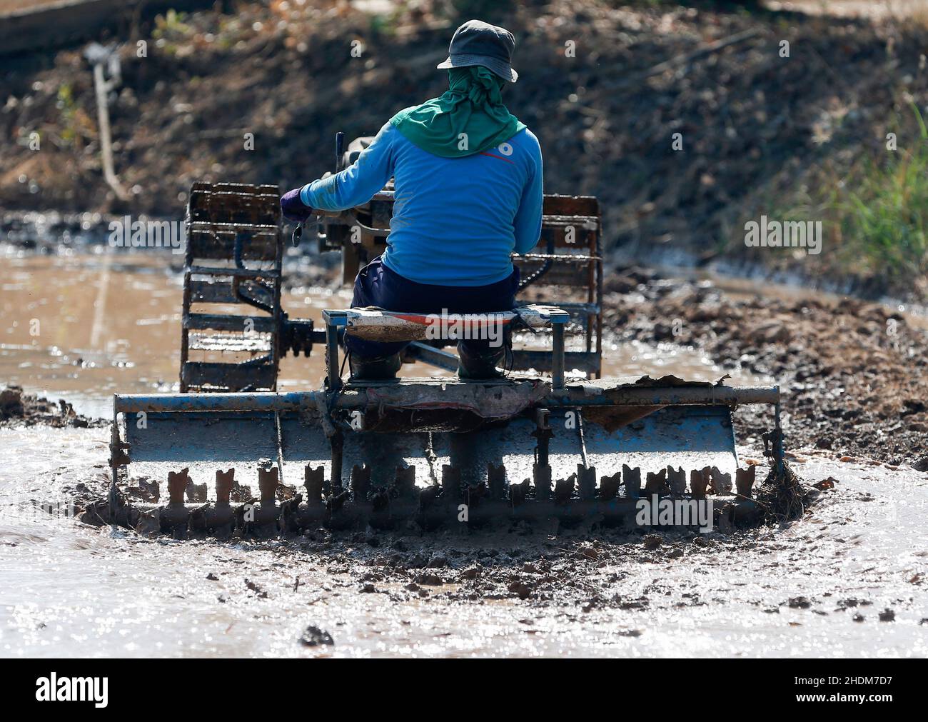 A farmer clear his rice field using motorised plough in Nakhon Sawan ...