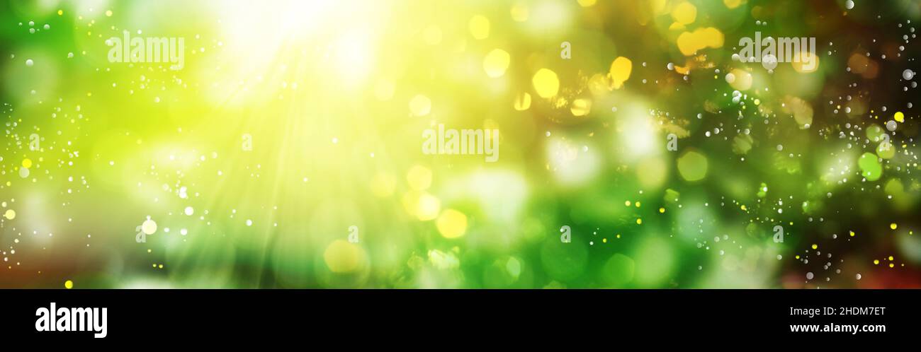 sunbeams, spring, bokeh, sun beams, sun ray, sun rays, sunbeam, sunray ...