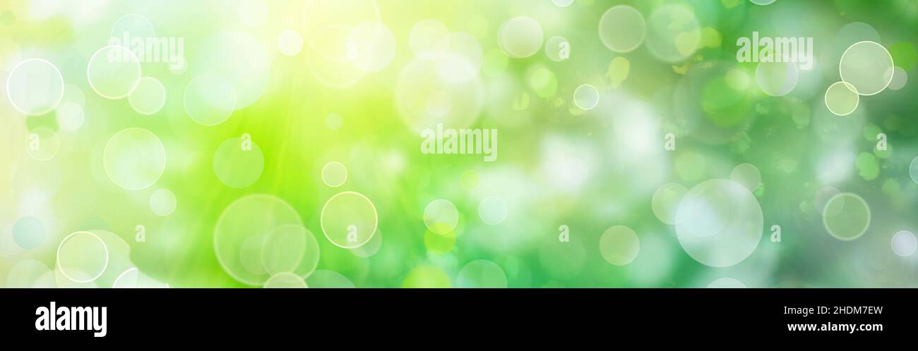 sunbeams, spring, bokeh, sun beams, sun ray, sun rays, sunbeam, sunray ...