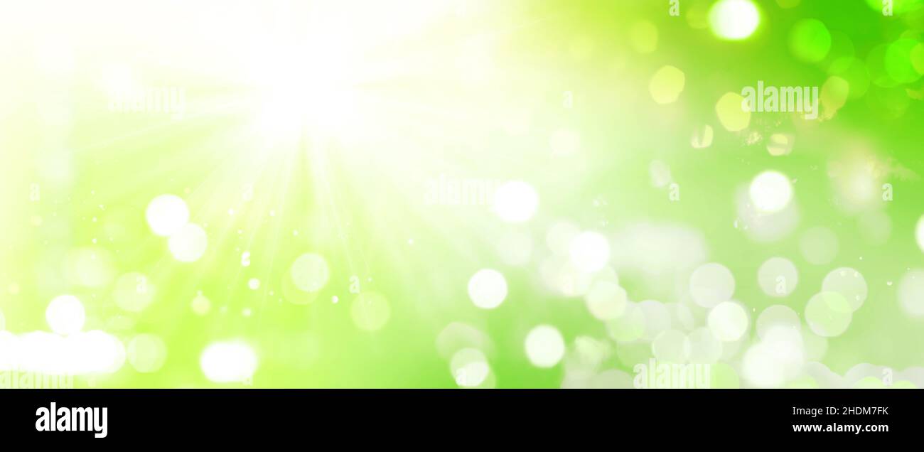 sunlight, spring, bokeh, sun ray, sun rays, sunbeam, sunbeams ...