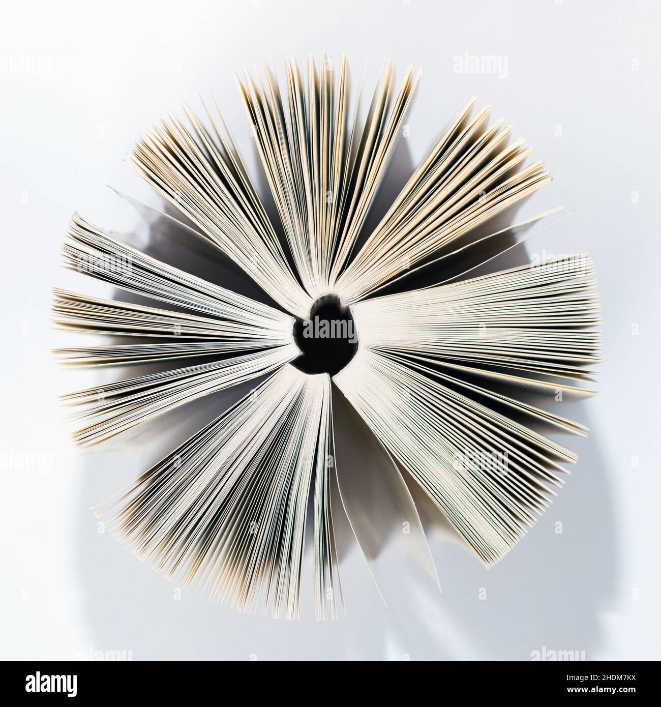 Square circulars hi-res stock photography and images - Alamy