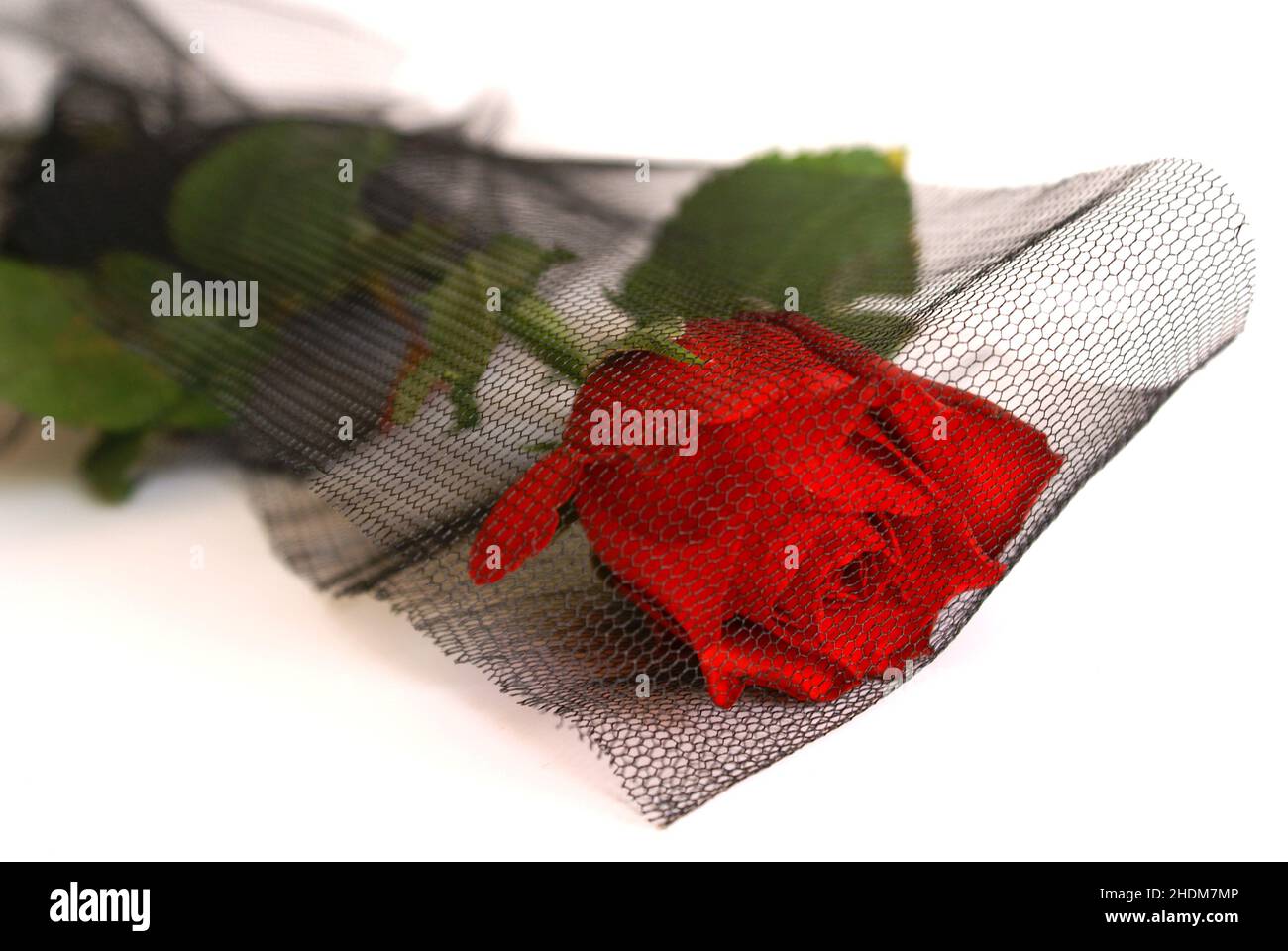 Grief mourning hi-res stock photography and images - Alamy