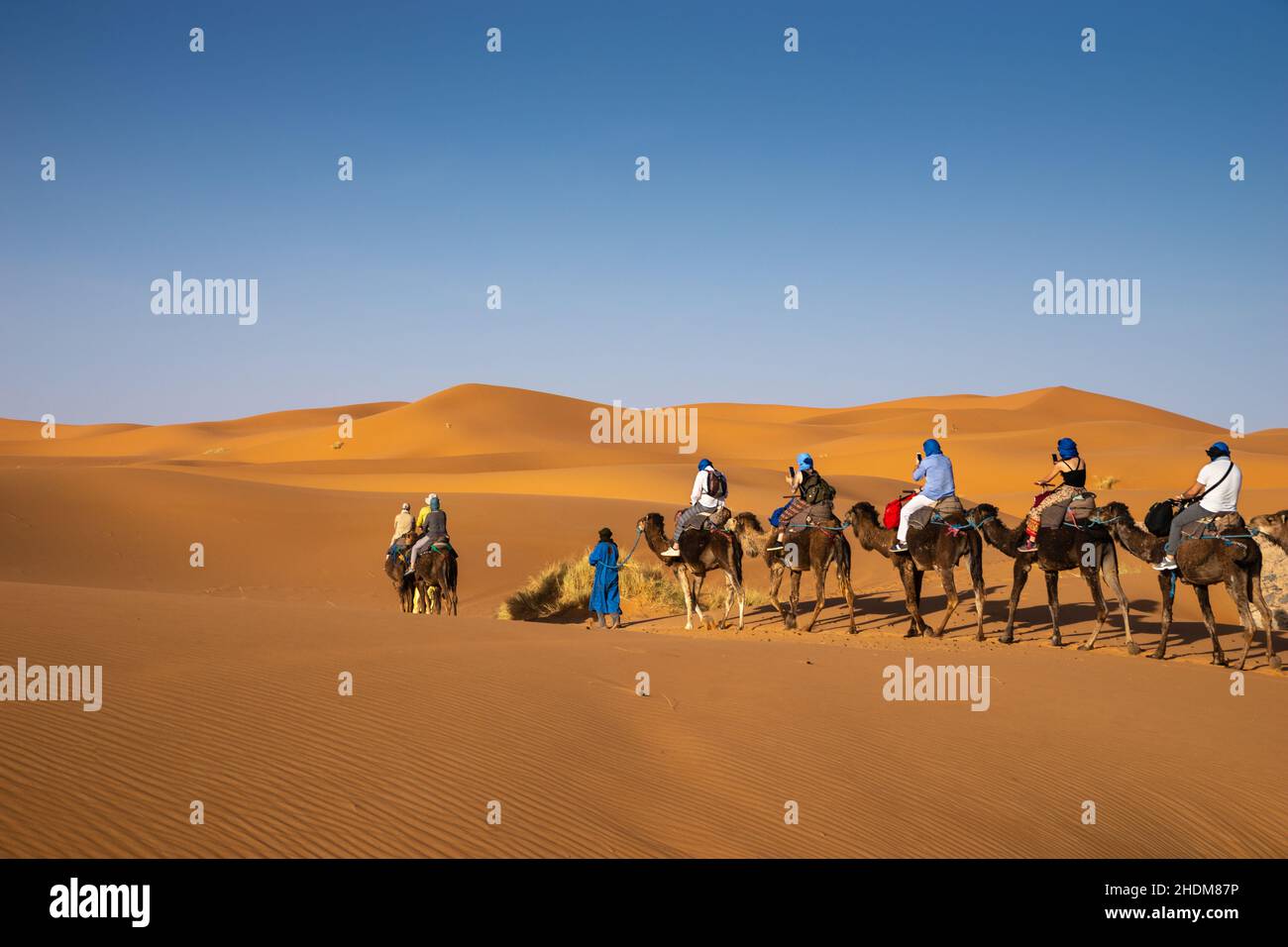 desert, caravan, deserts, wüste, caravans, mobile home, motor home ...
