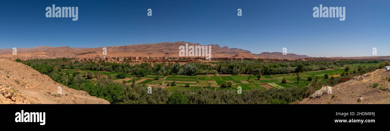 morocco, oasis, moroccan Stock Photo - Alamy