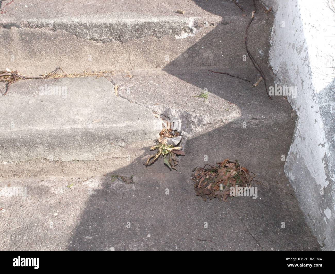 House in disrepair Stock Photo - Alamy