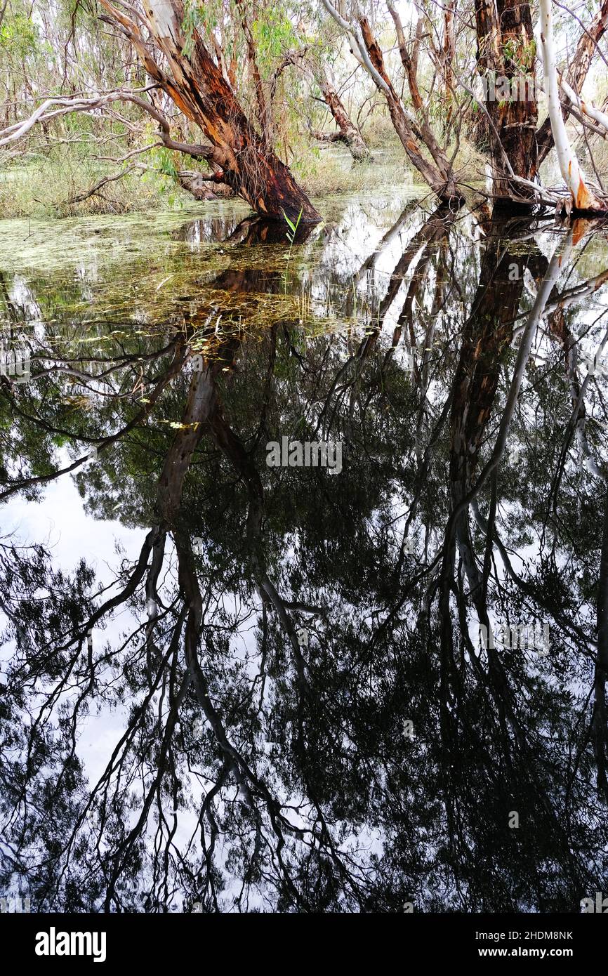 The Banrock Station Wetlands in the Riverland region of South Australia ...