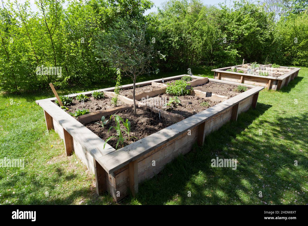 raised bed, raised beds Stock Photo - Alamy