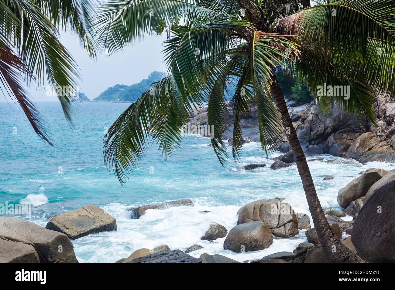 beach, palms, ocean, beaches, seaside, palm tree, oceans, offshore ...