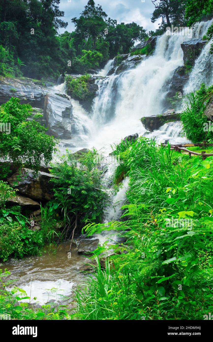waterfall, doi inthanon nationalpark, cascade, waterfalls Stock Photo ...