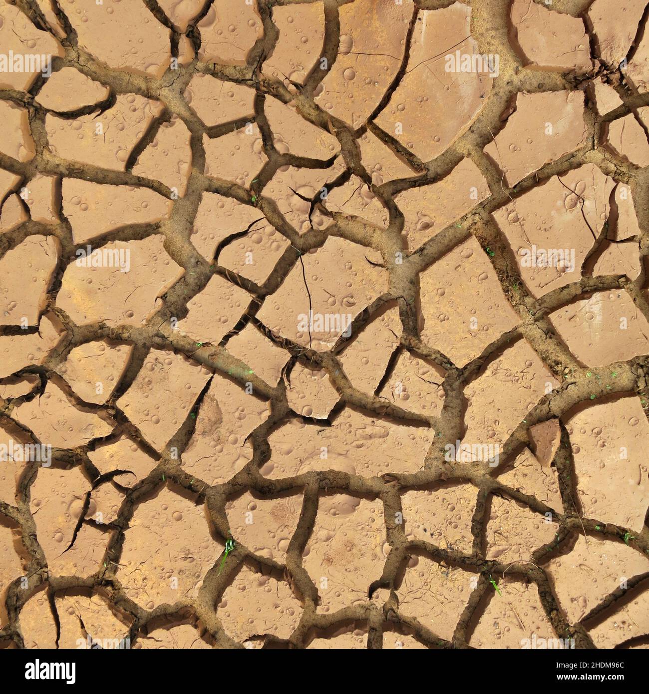 backgrounds, texture, drought, bottom, background, textures, arid ...