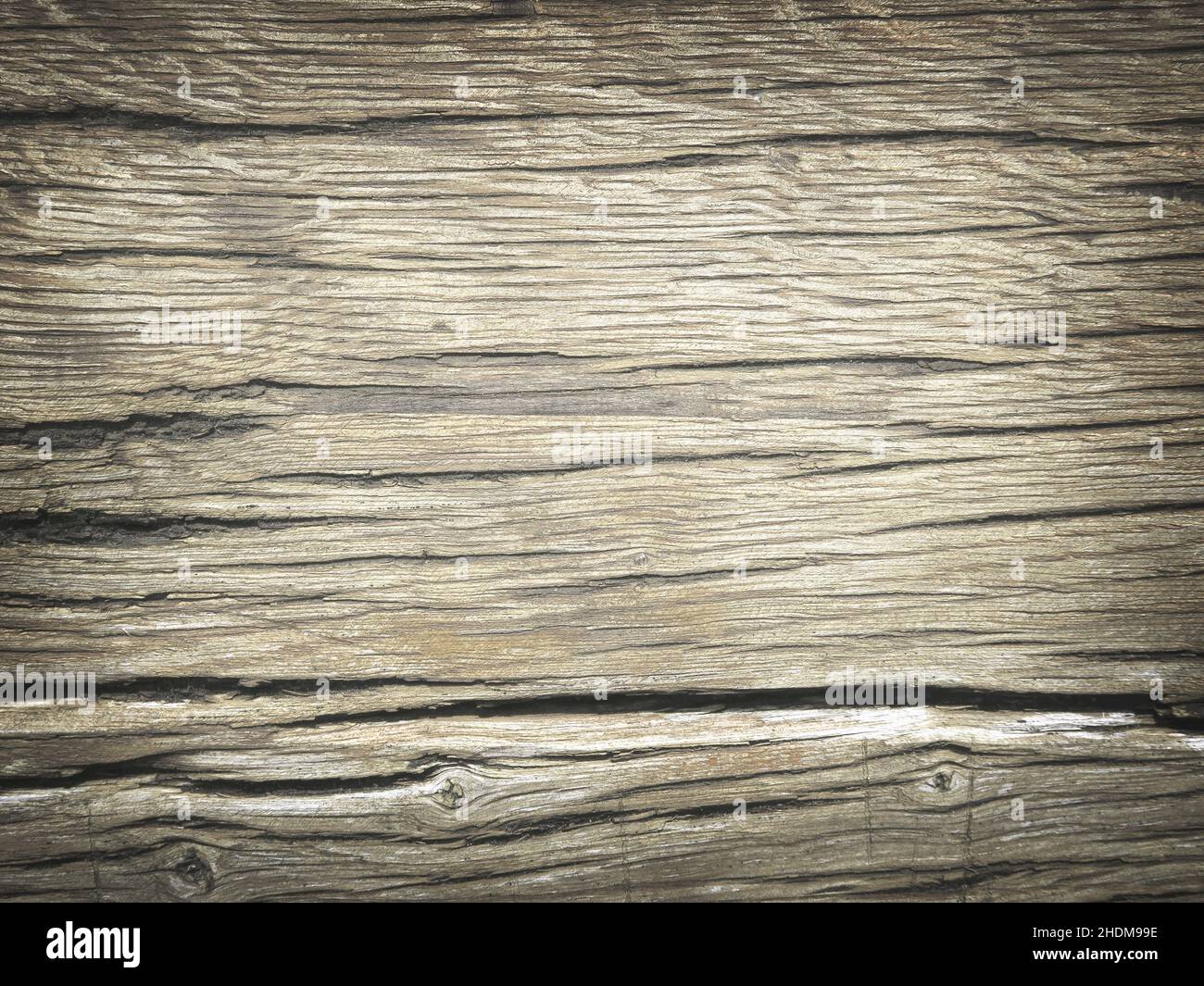 texture, wood, textures, woodland, woodlands, woods Stock Photo - Alamy