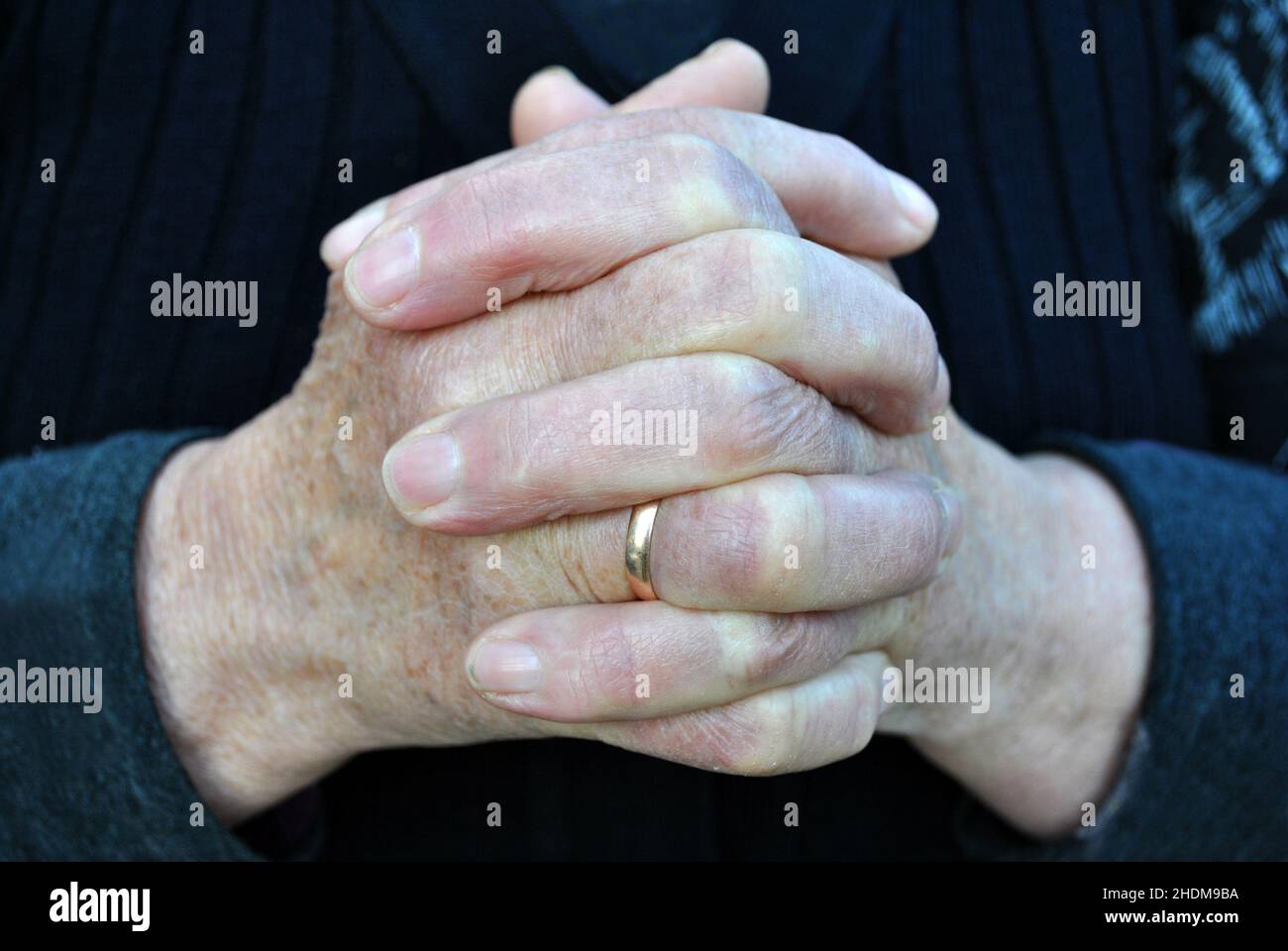 hand, praying, hands folded, hands, pray, worship, folded hands Stock ...