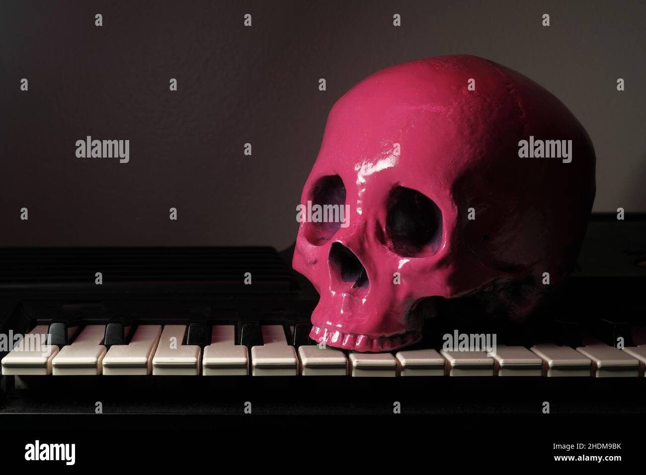 Pink human skull on electric piano keyboard for scary musical ...