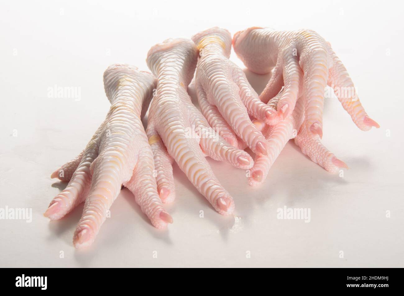 poultry, chicken feet, poultries, chicken feets Stock Photo - Alamy