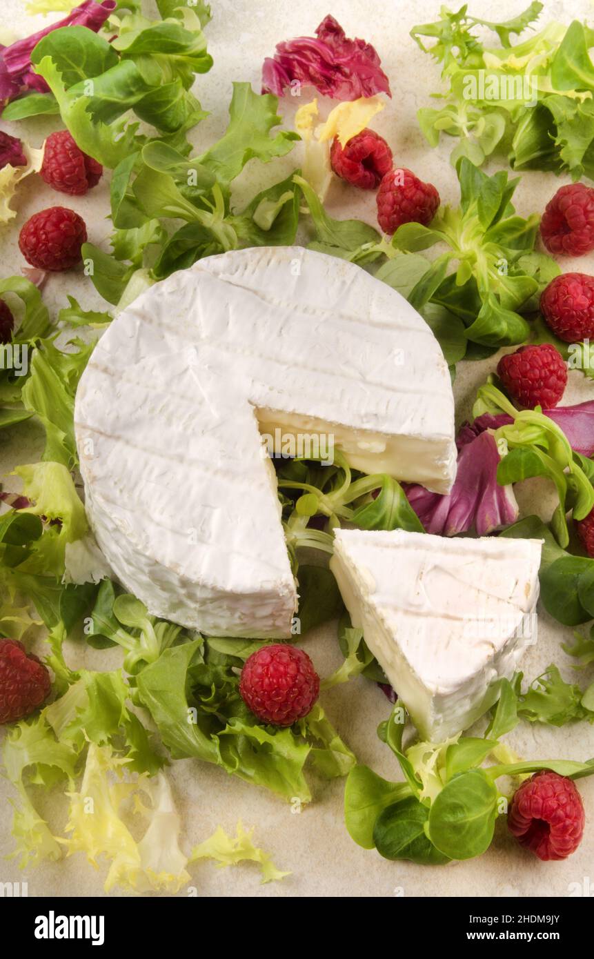 camembert, cheese, cheese wheel, cheeses, cheese wheels Stock Photo - Alamy