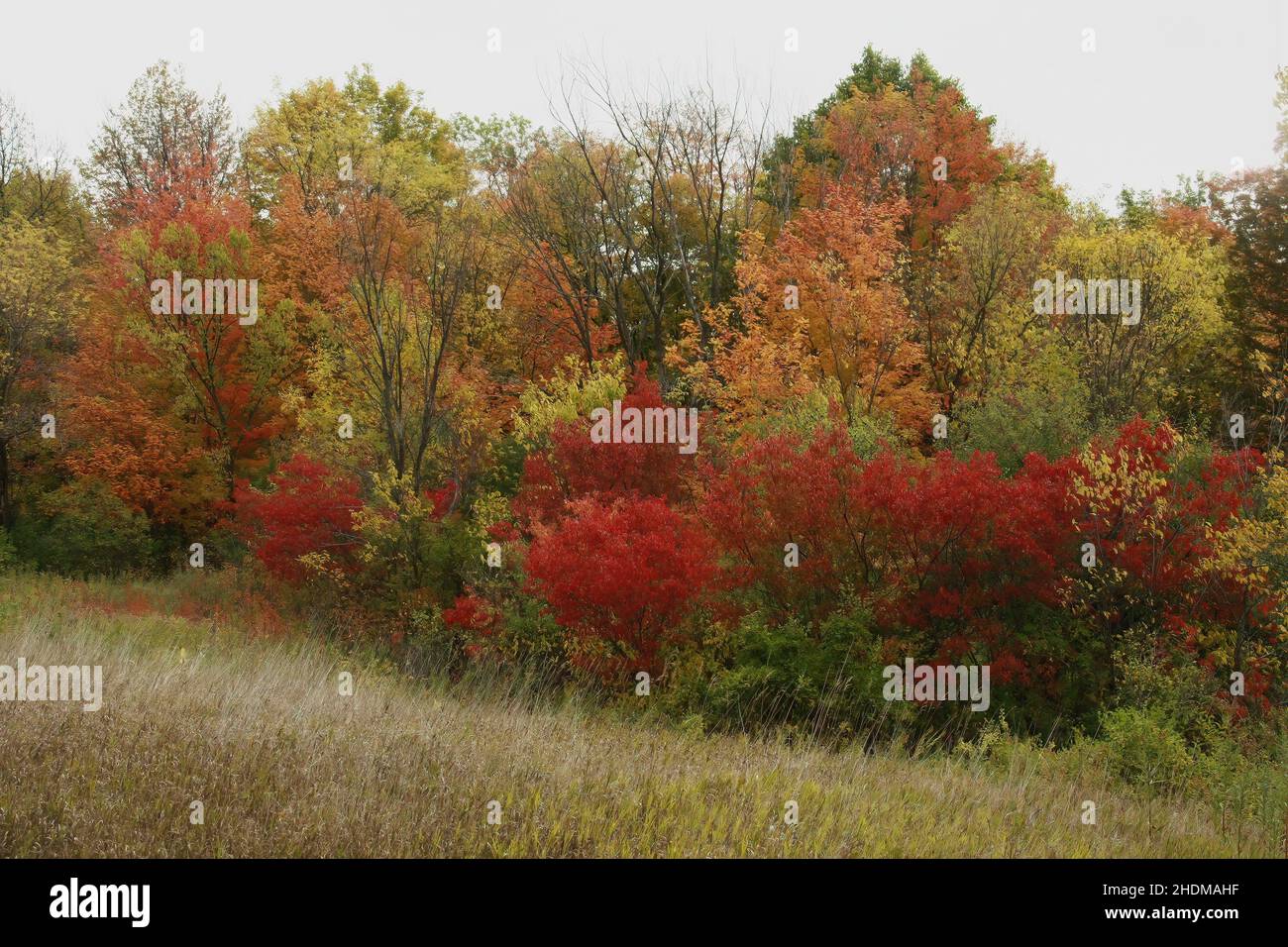 Pleasand hi-res stock photography and images - Alamy