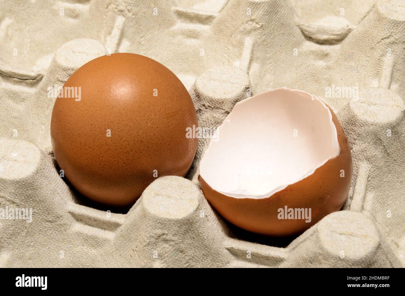 egg, egg shell, egg box, eggs, egg shells, egg boxs, egg carton Stock ...