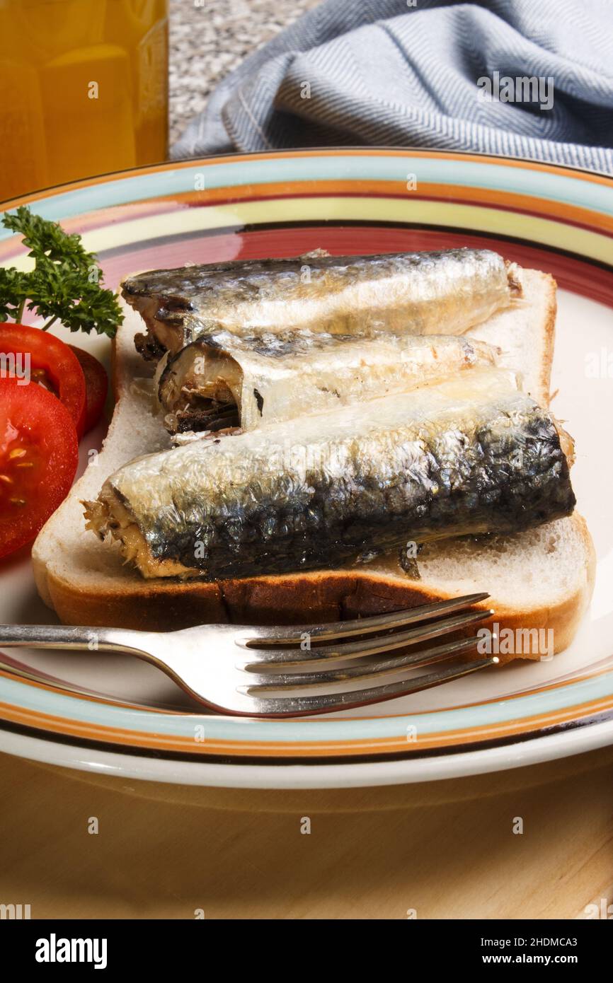 sardines, smoked fish, snack, kippers, snacks Stock Photo - Alamy